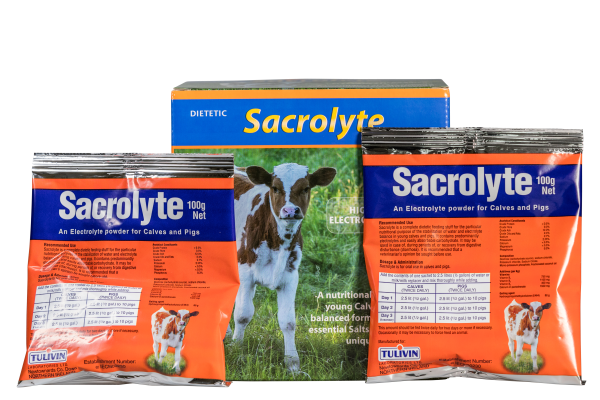 Sacrolyte sachets (electrolytes) – Cattleproducts