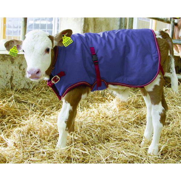 Thermo breathable calf jacket (10 pack) – Cattleproducts