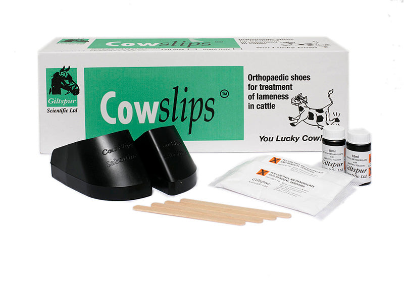 Cowslips original 10 pack – Cattleproducts