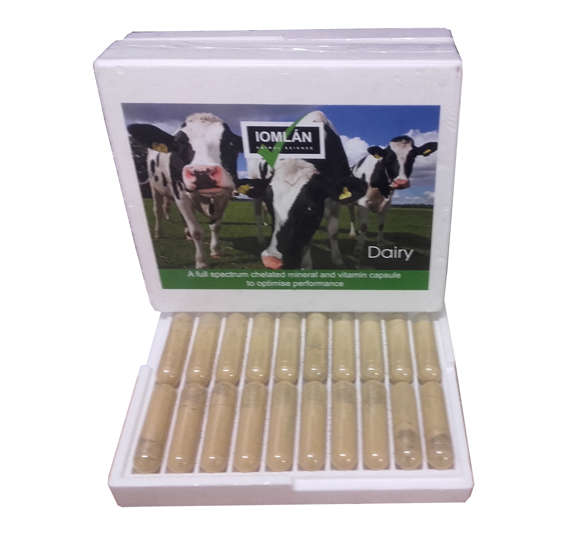 Dairy capsules (20 boluses/10 cow box) – Cattleproducts